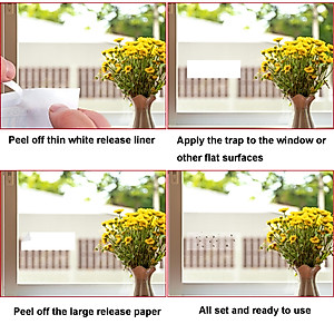 Mosqueda Window Fly Traps, 30 Pack Sticky Fly Traps for Indoors, Fly Catchers for Inside Home, Waterproof & Non-Toxic Adhesive Sticky Paper Trap for Mosquitos Bugs Housefy Fruit Fly Flying Gnats