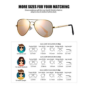 Pro Acme Polarized Aviator Sunglasses for Men and Women 100% UV Protection, 58mm (Gold Frame/Pink Mirrored Lens)