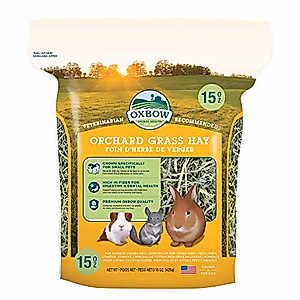 Oxbow Animal Health Orchard Grass Hay - All Natural Grass Hay for Chinchillas, Rabbits, Guinea Pigs, Hamsters & Gerbils - 15 oz.