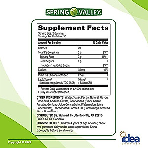 Probiotic Vegetarian Gummies for Kids with Prebiotic from Inulim by Spring Valley +Vitamins & Minerals A to Z - Better Idea Guide (1 Pack, 60 ct)