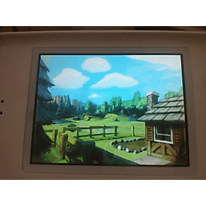 SimAnimals - Nintendo DS