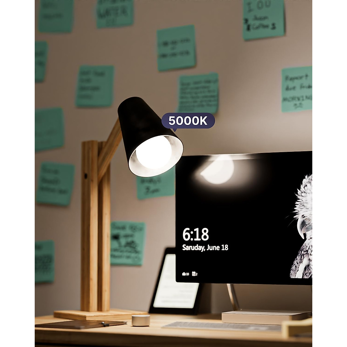 Sunco 12 Pack LED Light Bulbs, E26 Base Lamp Bulbs A19, [Focos LED para Casa], 5000K Daylight, 8W (60 Watt Equivalent), 850 LM, Non-Dimmable, 25000 Lifetime Hours for Bedroom, Bathroom UL