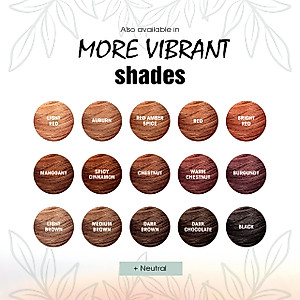 Light Mountain Henna Hair Color & Conditioner – Red Hair Dye, Organic Henna Leaf Powder and Botanicals, Chemical-Free, Semi-Permanent Hair Color + 4 Hair Clips