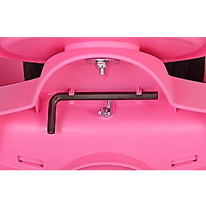 iBert Child Bicycle Safe-T-Seat, Red