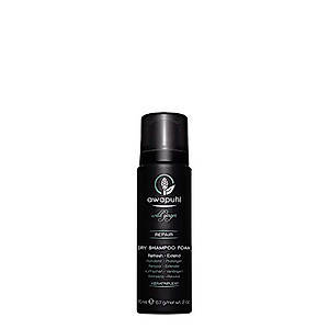 Paul Mitchell Awapuhi Wild Ginger Dry Shampoo Foam, 2 Fl Oz