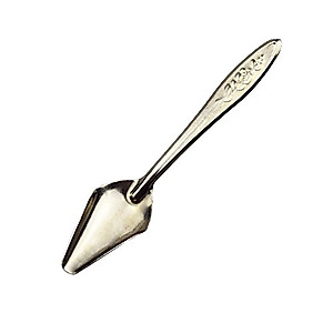 Motanar 4.7" Bird Parrot Stainless Steel Metal Feeding Spoon,Special Feeding Scoop Medicine Spoons Hand Feeding Spoons for Peony Cockatiel Parrot (1 PCS)