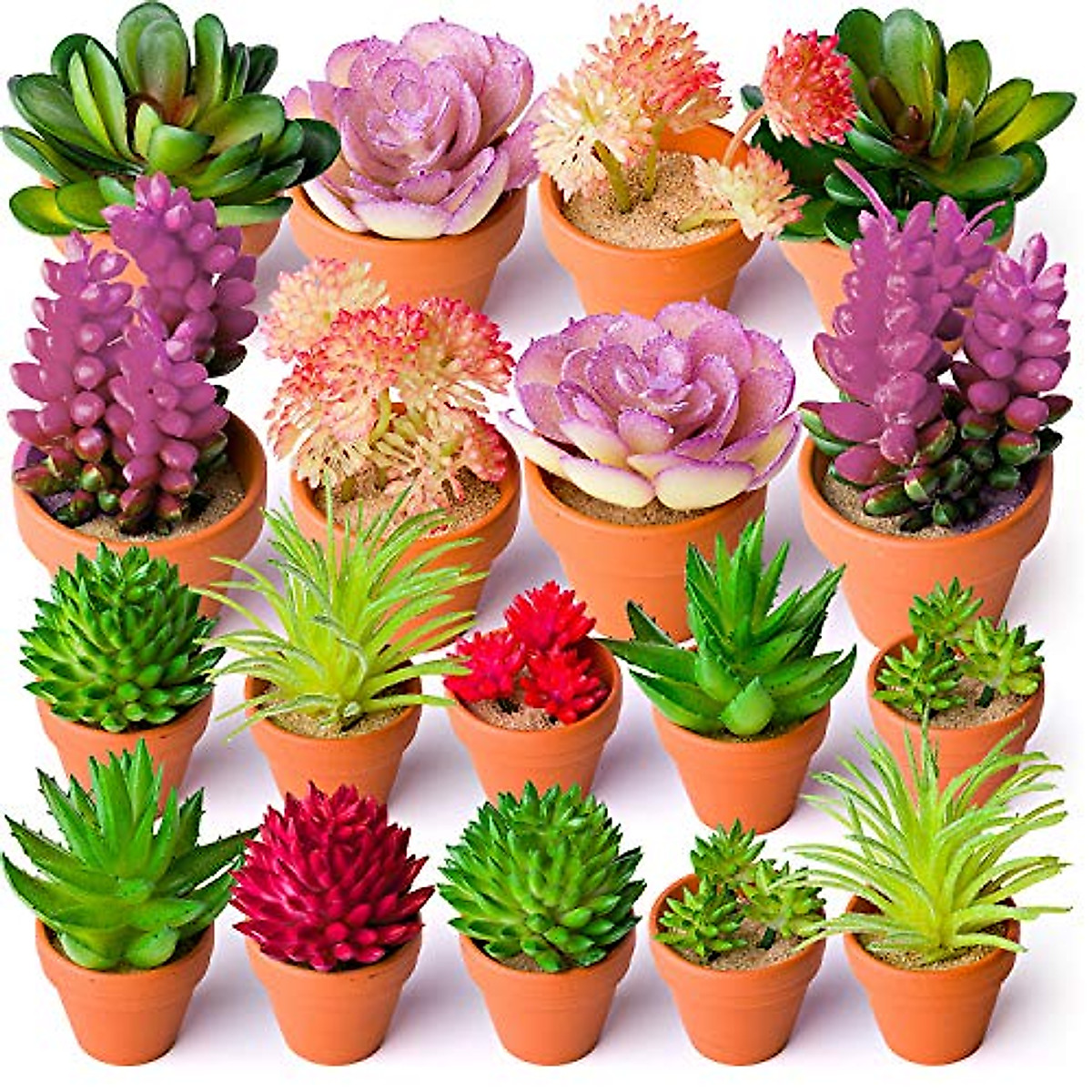 Housenior 24 Mini Artificial Succulent Plants Unpotted : Fake Succulents Picks Realistic Plastic Cactus Stems for Terrarium Bulk Small Faux Assorted Arrangements Flocked Greenery