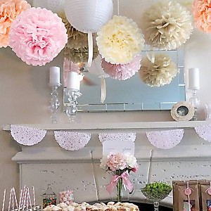 25PCS Tissue Paper Pom Poms Pink Paper Flowers DIY Paper Craft Decorations for Baby Shower Party Decorations, Birthday Party, Wedding Decor, Valentines Day, Bridal Shower Decorations-Pink mix