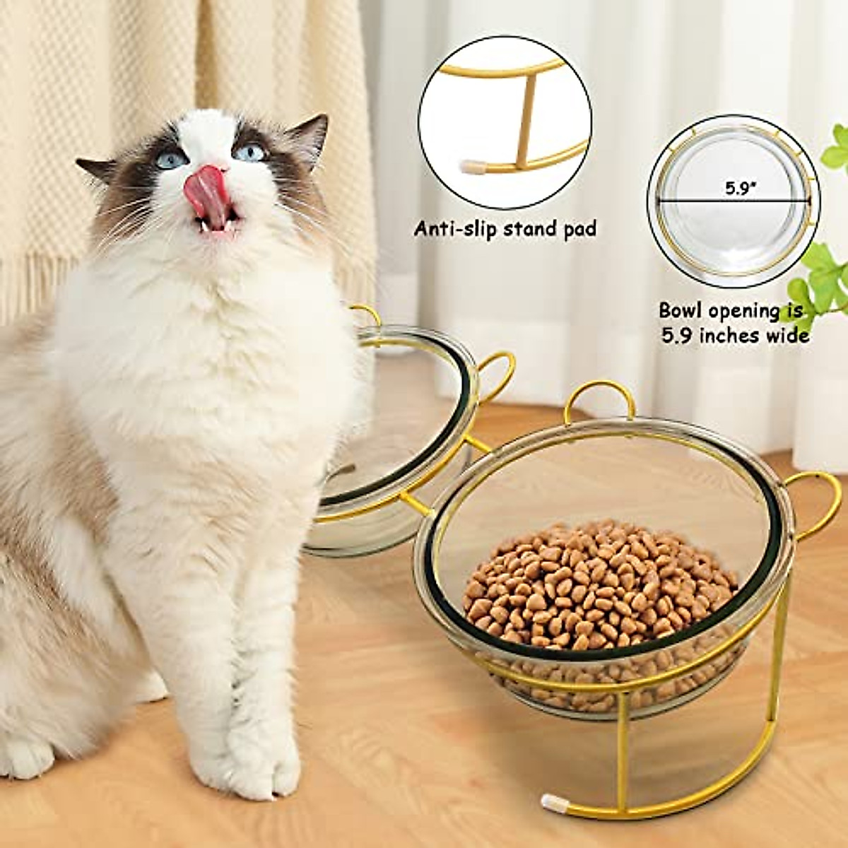 BNOSDM Elevated Cat Bowls, Glass Raised Pet Bowl, 12° Tilted Double Dishes Set for Food and Water, Transparent Kitty Feeding Station with Gold Iron Stand for Indoor and Outdoor Kitten