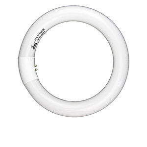 CHKADAWA Circular Bulb FC8T9/DL, 8 Inch T9 22W Circline Fluorescent Light Bulbs, Replacement Round Fluorescent Lamp Tube, Bright Daylight 6400K 1250 Lumens, G10q 4 Pin Base, 2 Pack