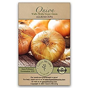 Gaea's Blessing Seeds - Onion Seeds - Non-GMO Heirloom Seeds with Easy to Follow Instructions (Walla Walla Sweet Onion) 93% Germination Rate
