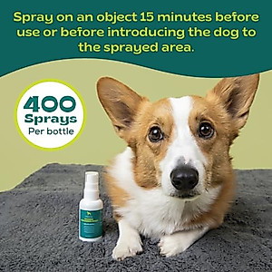 bSerene Pheromone Calming Spray for Dogs Helps Reduce Excessive Barking, Destruction, Stress, and Fear Great for Vet Visits, Boarding, and Targeted Calming, 60mL