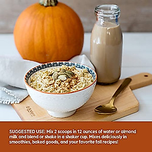 Orgain Organic Vegan Protein Powder, Pumpkin Spice - 21g of Plant Based Protein, Non Dairy, Gluten Free, 1g of Sugar, Soy Free, Kosher, Non-GMO, 1.02 Lb (Packaging May Vary)