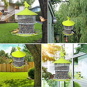 Metal Bird Feeder Clearance,Hanging Bird Feeders for Outside Wild Birds, Squirrel Poorf, Heavy Duty,6 Perches, 4 lbs Capacity for Cardinals, Finches, Blue Jays-Silver Green