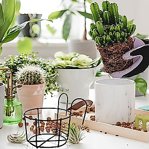 Dandat 24 Pcs Hanging Railing Planters 6 Inch Flower Pot Holders Black Potted Stand Railing Planter Iron Rack Balcony Planter Basket Small Shelf Container for Indoor Outdoor Balcony Fence Garden