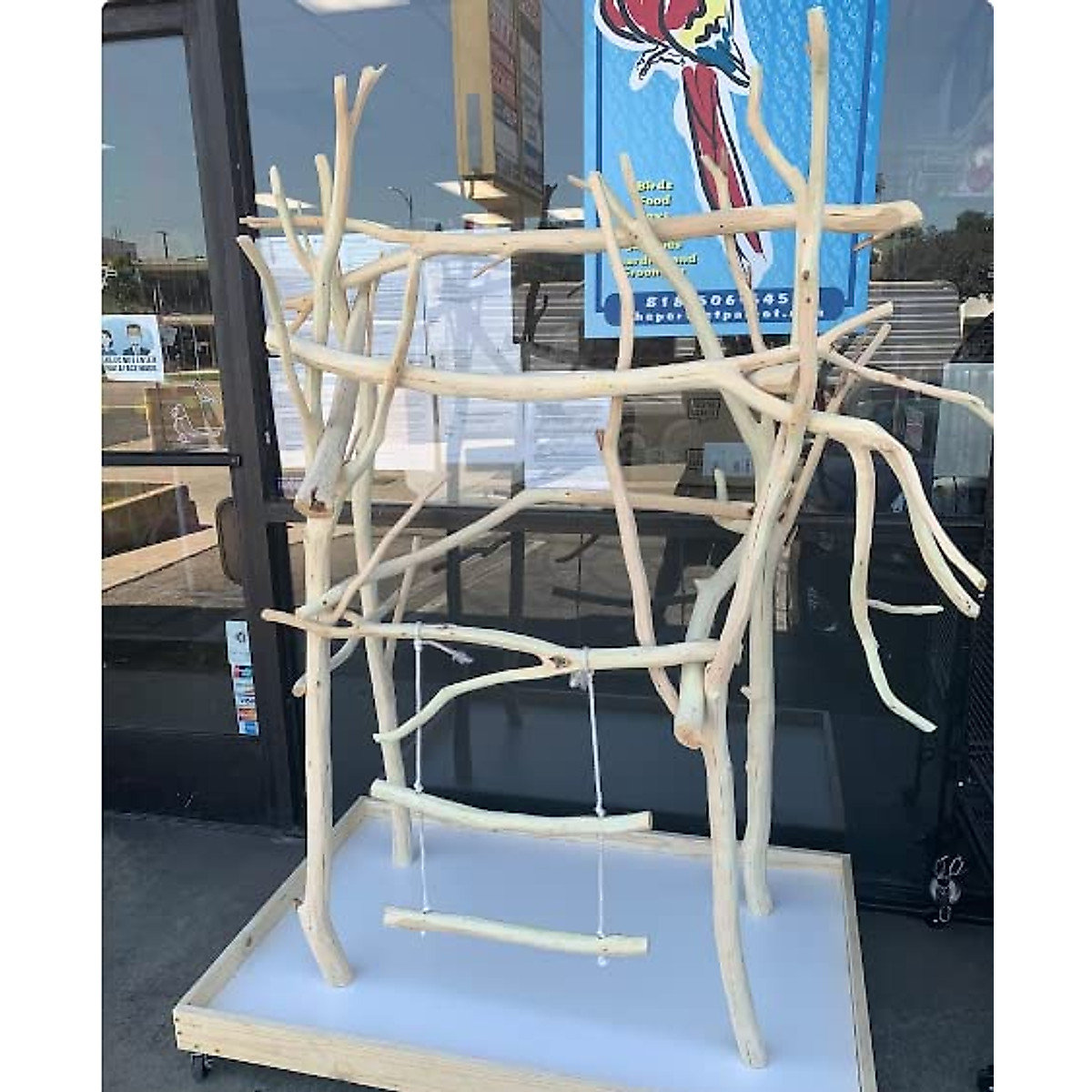 ExoticDad Large Bird Perch - Customize Your Perch Designed Natural Dragonwood Bird Perch on Wheels Stand for Parrots, Birds, Parakeets, Monkeys, Cockatiel, African Grey, Conure (2x4 ft B - 5x6 ft H)