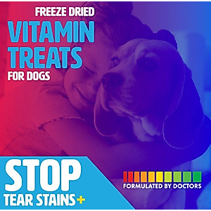 Pet Eyez-Dog Tear Stain Remover - Tear Stain Remover for Dogs - Dog Eye Care -Dog Treats with Astaxanthin, Blueberry Fruit Powder, Lutein, Grain Free, All-Natural Protein (Lamb-2 Pack)