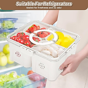 Fruit Storage Containers for Fridge: Divided Serving Tray with Lid and Handle - Snackle Box Container with 4 Removable Colanders - Berry Vegetable Fresh Produce Saver Refrigerator Organizer Bins