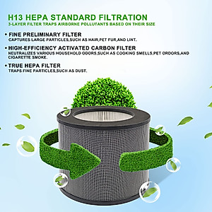 2 Pack Black，Compatible With TaoTronics TT-AP006 Filter，H13 True HEPA，Activated Carbon Filters and High-Efficiency Activated Carbon Pre-Filter 3-in-1…