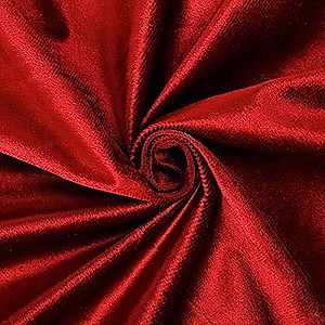 BalsaCircle 8 feet x 8 feet Wine Velvet Backdrop Curtain - Wedding Ceremony Reception Home Party Events Photo Booth Home Decorations