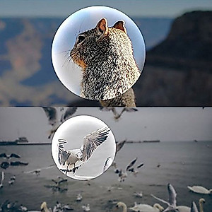 Mini Compact Lightweight 8x21 Small Binoculars for Concert Opera Sports Game Outdoors Hiking Travel Kids Bird Watching Christmas Gift