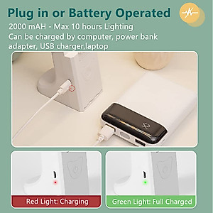 LuxLumin LED Double Head Desk Lamp for Home Office,Portable Small Desk Lamp with Large Lighting Range, Battery Operated Rechargeable Desk Light for Kids,Reading,Studying,Home,Office,Dormitory,White