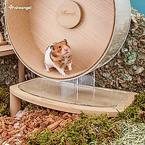 Niteangel Anti-Slide Hamster Wheel Platform - Fits for Niteangel Super-Silent Hamster Wheel | Acrylic Wheel | Wooden Wheel | Cloud Series Hamster Wheel (Medium)