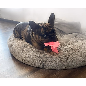 AZ Micro Mini Pigs Peanut Butter Chew Toy or Tooth Paste Dental Stick Pet Toy (Pink)