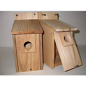 Cedarnest Bluebird Houses 8