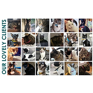 BRONZEDOG Cat Collar with Bell Kitten Rolled Leather Collars Safety QR ID Name Tag (Red)