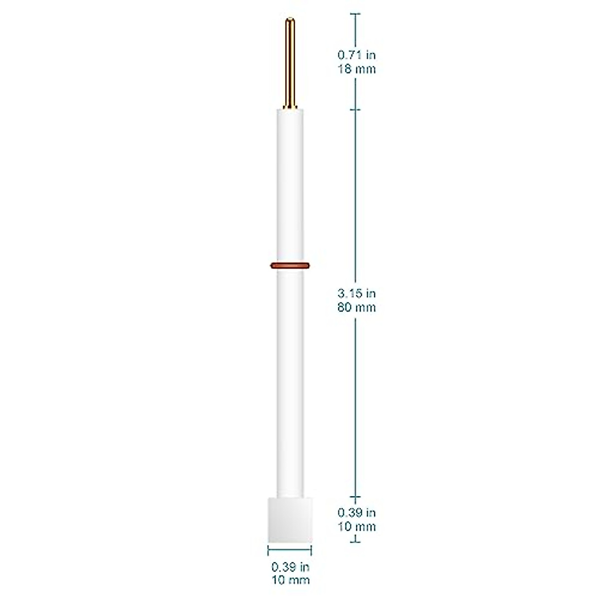 stonylab Stainless Steel Electrode, 10 x 10 x 0.1 mm Laboratory Electrode with Stainless Steel Sheet Plate and PTFE Body for stonylab Electrolytic Cell Electrode