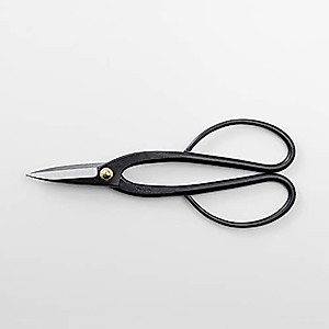 Wazakura Bonsai Pruning Scissors Tool Set Made in Japan, Japanese Trimming Shears Starter Kit - Ashinaga Bonsai Scissors and Satsuki Trimming Scissors Pack (Ashinaga + Satsuki Bonsai Scissors)