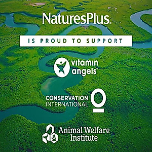 NaturesPlus Source of Life Garden Certified Organic Vitamin K2-120 mcg, 60 Vegan Capsules - Bone Health Supplement - with Natural Whole Food Enzymes - Vegetarian, Gluten-Free - 60 Servings