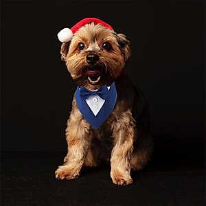 DOGTACT Dog Tuxedo, Formal Dog Wedding Bandana Adjustable Pet Collar with Bow, Small, Medium and Large Dog Wedding Clothing, Birthday Gifts for Dogs