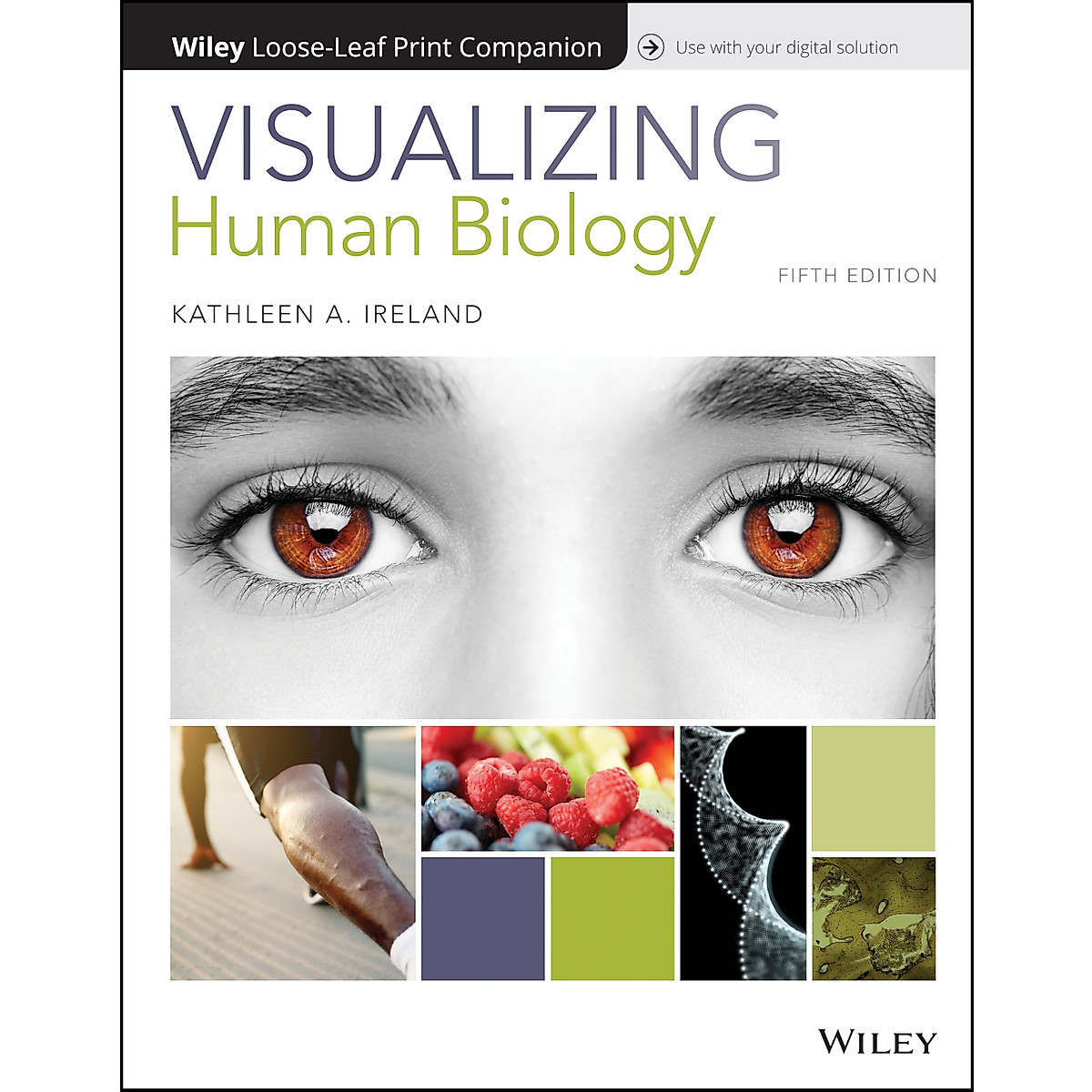 Visualizing Human Biology (Visualizing Series)