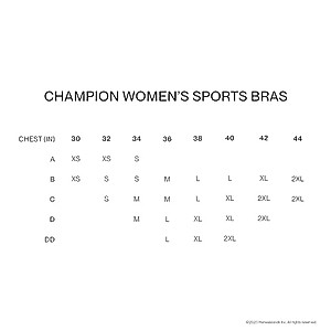 Champion womens Spot Comfort Full Support Sports Bra, Nude, 38DD US