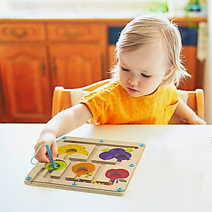 Pidoko Kids Color Sorting Fruits Magnetic Maze - Montessori Educational Toys for Toddlers - Learning Fine Motor Skills for Preschoolers