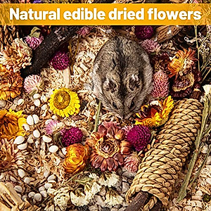 MEWTOGO 10.5Oz Hamster Bedding Decor - Natural Edible Dried Flowers Herb for Habitat Decor of Gerbils Hamsters Degus Mice Reptiles Bunny and Other Small Animals
