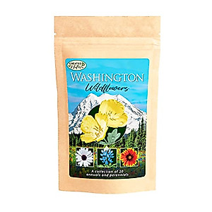 Created By Nature Washington Wildflower Seed Mix, Covers 325 Sq Ft, 20 Flower Varieties, Over 60,000 Seeds