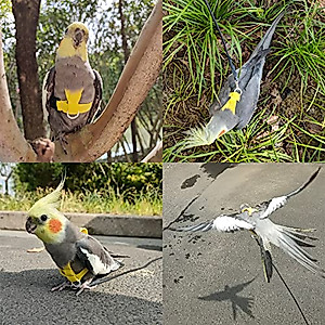 VANFAVORI Bird Harness with Buckle Clip and a Leash, Easy to Wear for Bird Parrots Cockatiel S Size Weight 85-105 Grams, Yellow