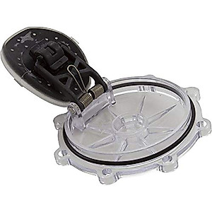 Pentair 263042Z 2-Inch 2-Way CPVC Check Valve Replacement Kit Diverter Pool and Spa Valve