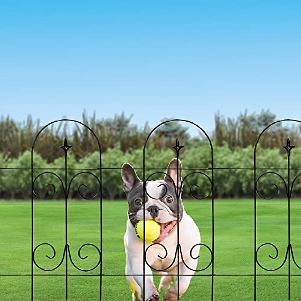 Thealyn Metal Decorative Garden Fence Border 32 in x 20 ft Garden Fencing No Dig Fence Rustproof Wrought Iron Landscape Fencing for Flower Bed, Yard, Animal Barrier