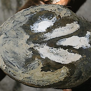 Artimud Hoof Clay 750g (500ml)