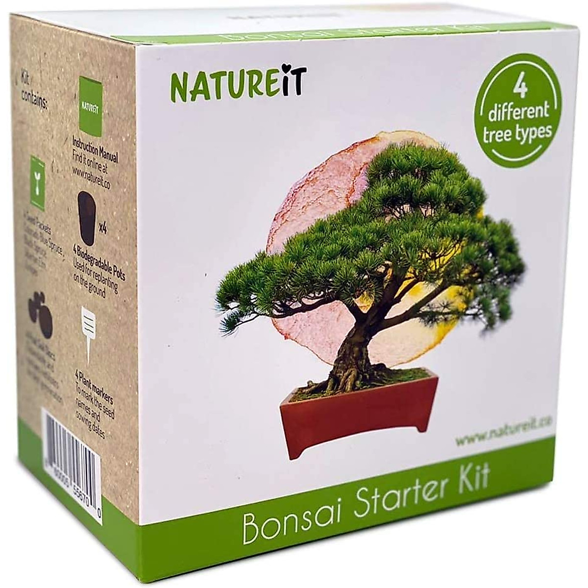 Natureit Bonsai Tree Starter Kit - Grow 4 Bonsai Trees from Seeds. All-in-One Indoor/Outdoor DIY Craft Kits for Adults Men & Women. Christmas Ideas for Plant Lovers or Mom & Dad who has Everything