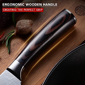 AUIIKIY Professional Chef Knife, 8 Inch Pro Kitchen Knife, German High Carbon Stainless Steel Knife with Ergonomic Handle