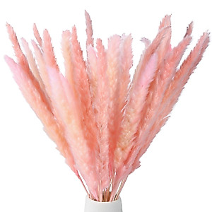 Omldggr 20 Pieces Natural Dried Pampas Grass Natural Dried Flowers Dried Reed Grass for Home Garden Office Party Wedding Decor(Pink)