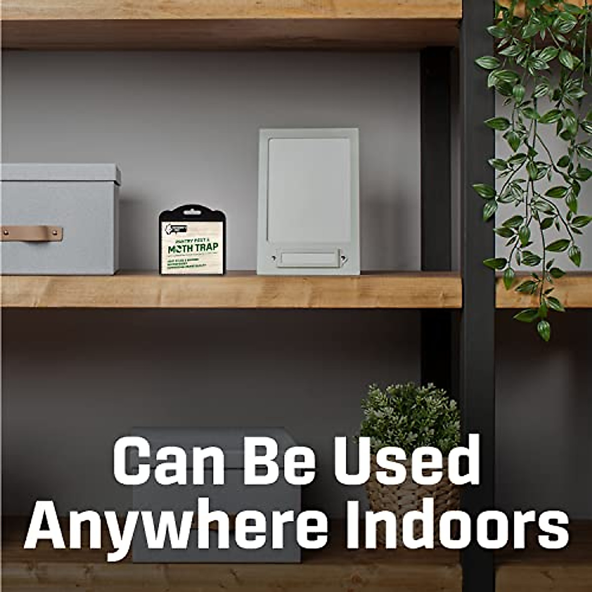 Exterminators Choice 10 Pack Professional Grade Pantry and Moth Traps with Pheromone Attractant | Effective Non-Toxic Safe