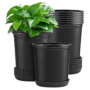 GROWNEER 12 Set 6‘’ 1 Gallon Nursery Pot for Plants Flexible Flower Pots with Drainage Hole and Saucer, Plant Container for Indoor Outdoor, Seedlings, Vegetables, Succulents, Cuttings(Black)
