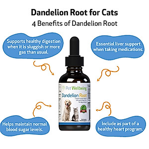 Pet Wellbeing Dandelion Root for Cats - Liver & Heart Health, Digestive Function, Blood Sugar Support, Certified Organic - Veterinarian-Formulated Herbal Supplement 2 oz (59 ml)