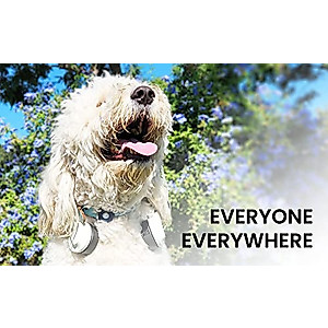 Homace Foldable Neck Fan with Cooling and Heating Pad, with traveling case, 4000mAh Rechargeable Battery Operated, Wearable Personal Fan, Refrigerated Chip, 3 Speeds,Outdoor indoor.